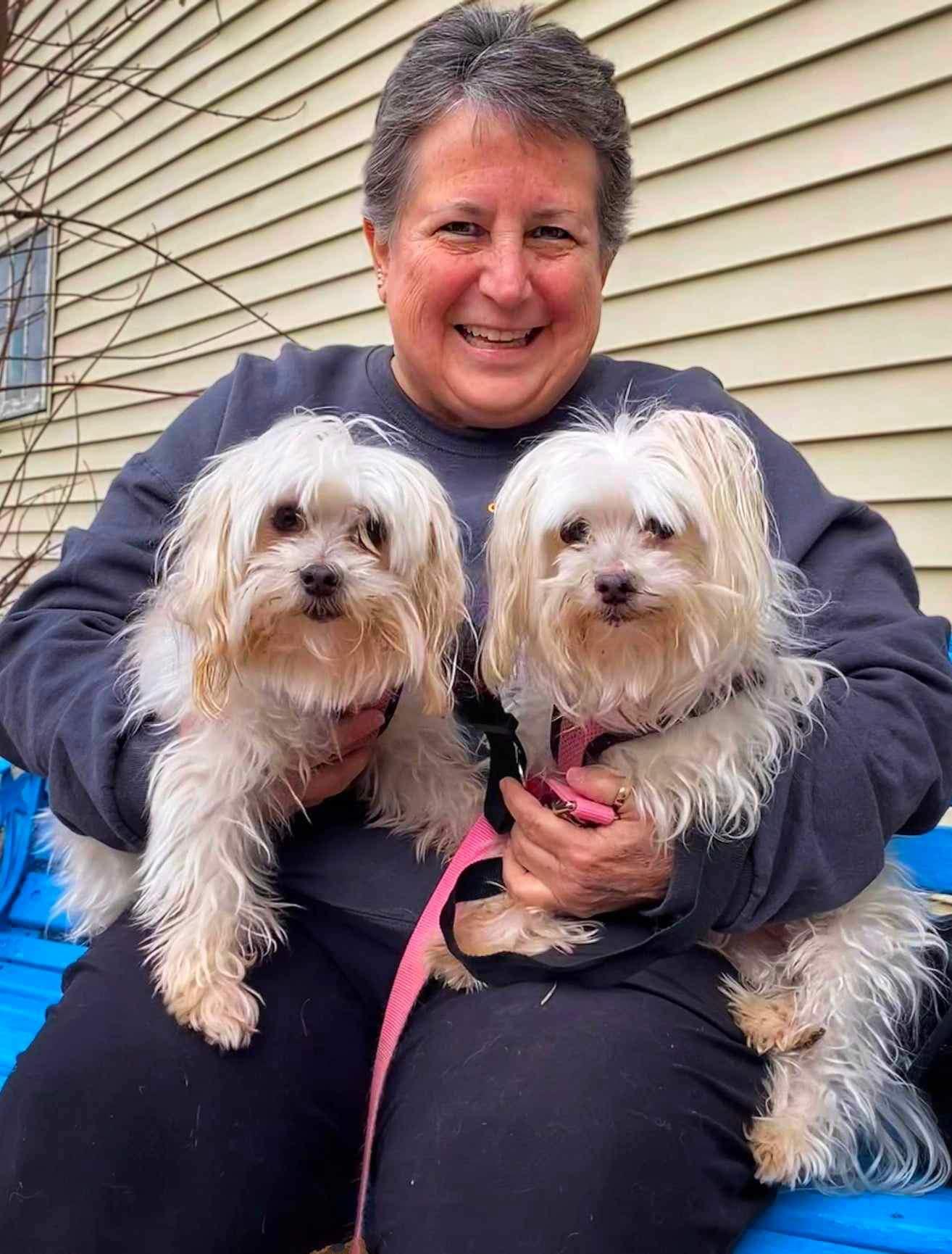 Is Fostering Right For Me? – Our Farm Sanctuary